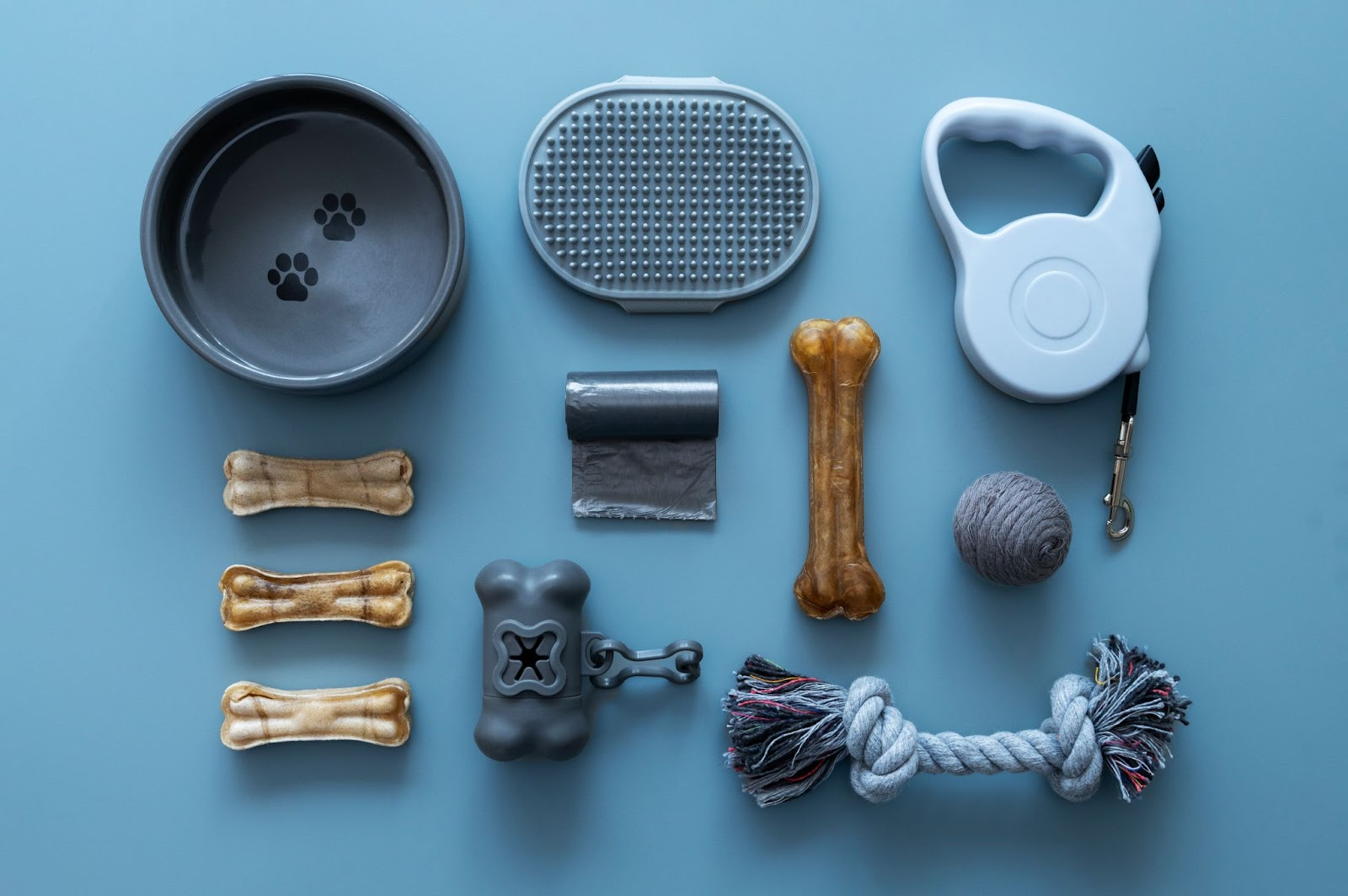 Top Eco-Friendly Pet Accessories for Healthier Pet & Planet – My Pet ...