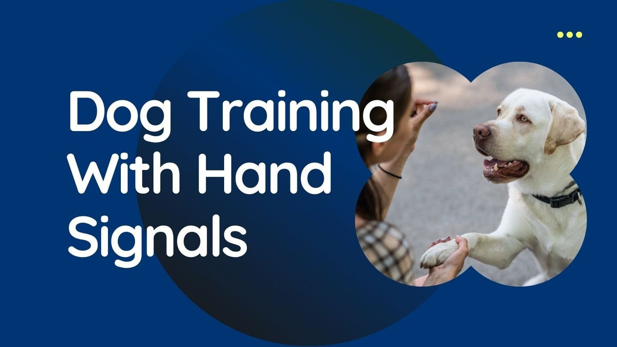 Dog Training with Hand Signals: A Comprehensive Guide with Printable P ...