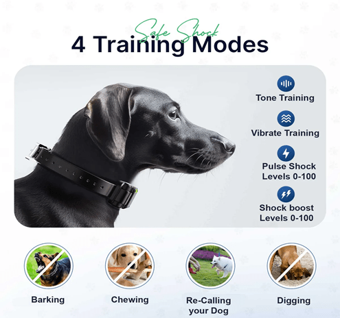 Unlock Better Behavior with Our Long Range Dog Training Collars – My ...