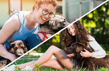 Dog Training, Animals Grooming Products - My Pet Command