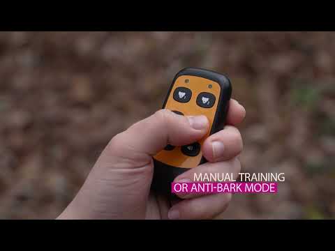 Citronella Spray No Shock Dog Training Collar with Remote – My Pet Command