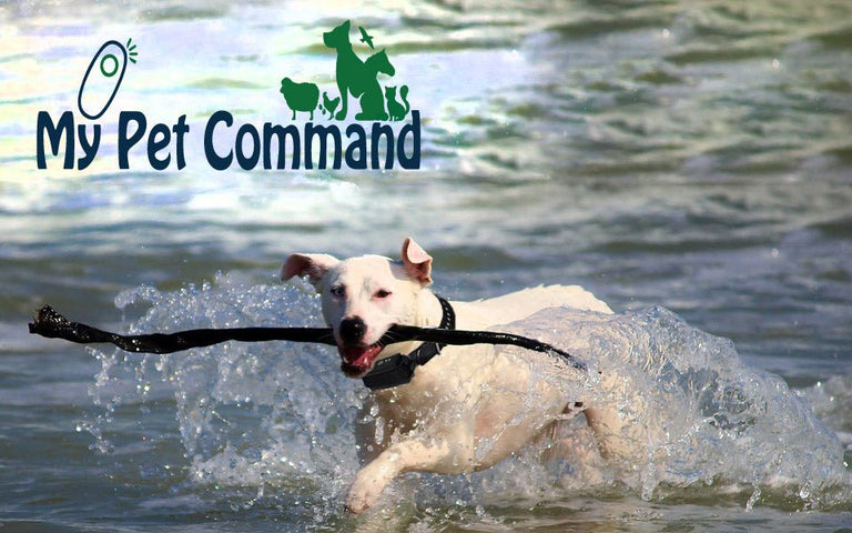 Waterproof Dog Electric Fence - Safe Containment System – My Pet Command